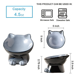 Nihow Elevated Cat/Dog Bowls: 5 Inch Ceramic Raised Cat Food & Water Bowl Set for Protecting Pet's Spine - Feeding & Watering Supplies for Pets - Elegant Gray (4.5 OZ /1 PC)