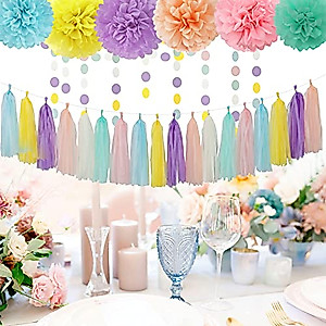 Pastel Rainbow Party-Decorations Supplies Streamers-Garland - 29pcs Baby Shower Birthday Wedding Tissue Pom Poms,Tassel Banner Backdrop Decor Bunting Lasting Surprise