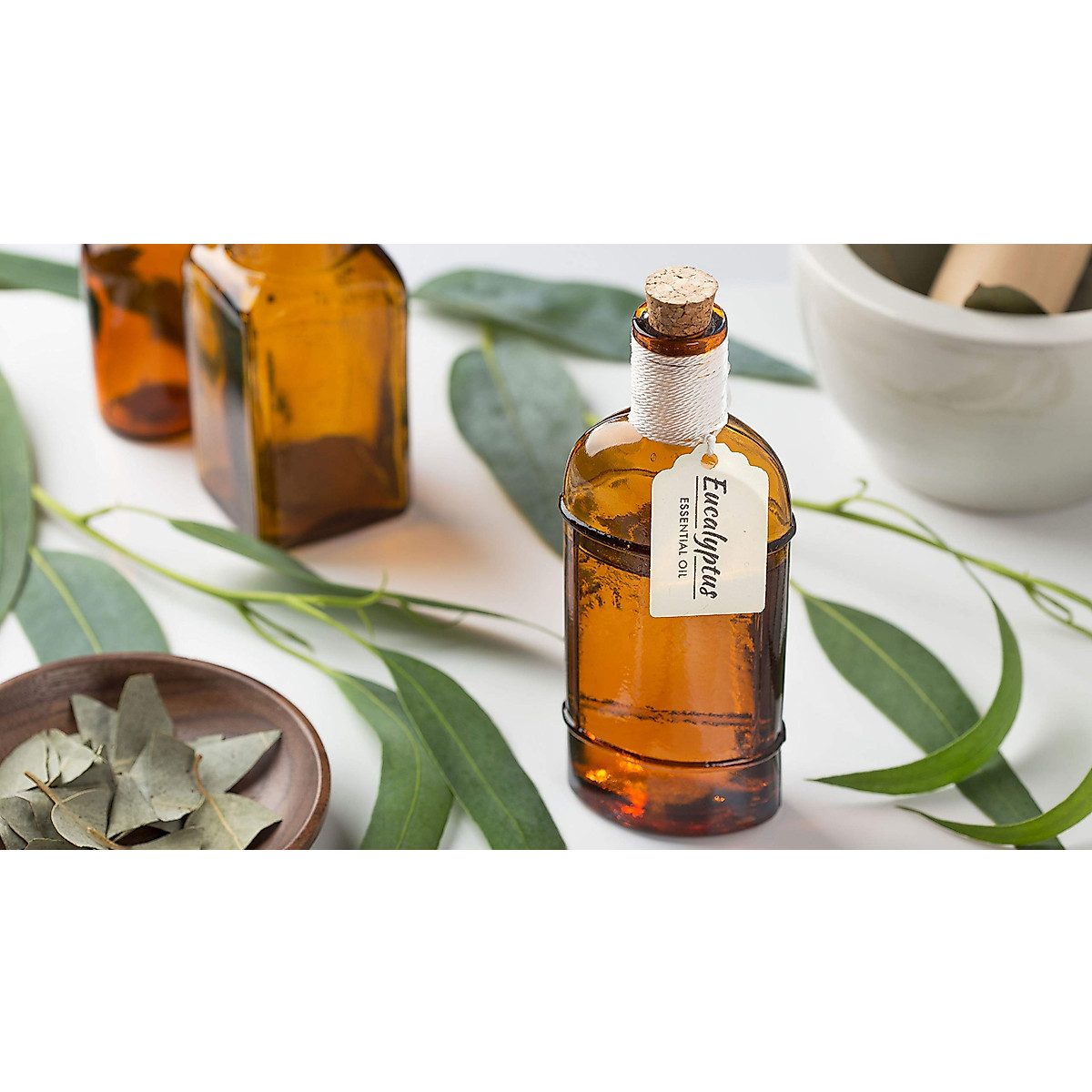 Muse Apothecary Study Ritual - Aromatic and Invigorating Room Mist, 8 oz, Infused with Natural Essential Oils - Aloe + Eucalyptus Mint