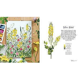 Wildflower Watercolor: The Beginner’s Guide to Painting Beautiful Florals