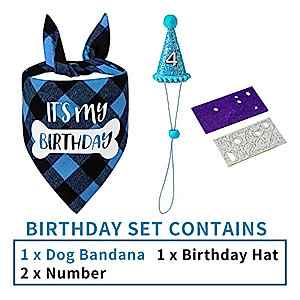 AIITLE Dog Birthday Bandana, Plaid Scarf and Reusable Dog Boy Birthday Party Hat with Number, Small Medium Dog Cat Pet Birthday Party Supplies Blue