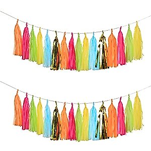 GUZON 30PCS Taco Bout a Party Tassel Garland Tissue Paper Tassels Banner DIY Kit Baby Shower Party Taco Tuesday Fiesta Party Bachelorette Llama Party Decorations
