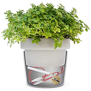 Suck UK Plant Pots Hideaway Secret Key Hider Secret Safe To Hide Keys Flower Pot With Hidden Safe & Secret Compartment Flower Pot Stash Box to Hide Your Key Set & Money Novelty Storage Safe