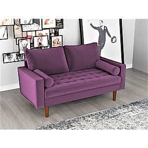 US Pride Furniture Caladeron Mid-Century Modern Loveseat in Soft Velvet