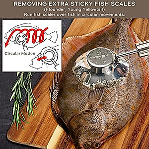 Ginrin Fish Scaler Brush, Fish Scale Remover Made in Japan with stainless Steel Circle Sawtooth