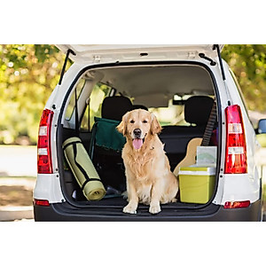 CARPRO SO2Pure 2.0 Odor Eliminator - Neutralize Odors, Cigarette Smoke, Exhaust, Chemical Smell or VOCs, Even Pet Smells from Car Fabric & Plastic, Use on Any Surface, Anywhere - 120mL (4oz)