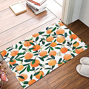 Orange Farmhouse Fruit Leaf Flower Watercolor, Bathroom Shower Mat Doormat Non Slip,Floor Rug Absorbent Carpets Floor Mat Home Decor for Kitchen Bedroom Rug, 16"X 24"