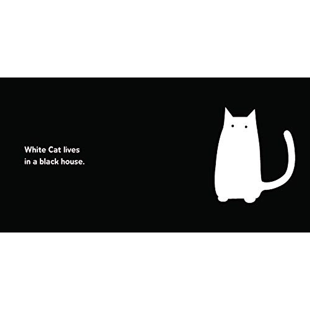 Black Cat & White Cat: A High Contrast Sensory Board Book About Opposites For Newborns and Babies