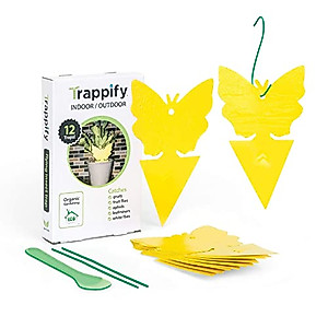 Trappify Sticky Gnat Traps for House Indoor - Yellow Fruit Fly Traps for Indoors/Outdoor Plant - Insect Catcher White Flies, Mosquitos, Fungus Gnat Trap, Flying Insects - Disposable Glue Trapper (12)