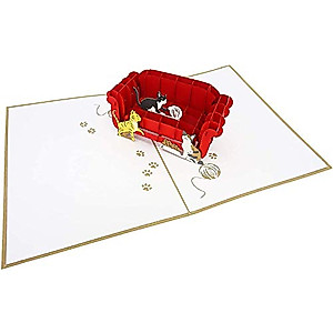 PopLife Cats Playing on Couch Pop Up Greeting Card 3D Pop Up Greeting Card - Cat Lover Card, Teacher Card, Funny Kids Card - Folds Flat for Mailing - Mothers Day Card, Birthday Card, Get Well Card