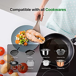 Induction Cooktop - 120V 2 Glass Induction Burner Zones with Adjustable Temperature Settings - 1800W Electric Induction Cooker with Digital Touch Sensor - Induction Hot plate - 20.47 by 11.42 inches