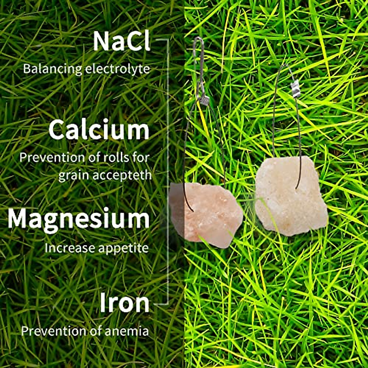 BNOSDM 12 Pack Small Animals Himalayan Salt Licks Set, 6 Rabbit Mineral Salt Blocks and 4 Hamster Teeth Grinding Stones Natural Bunny Chew Treat Toys for Rats Guinea Pigs Ferrets Chinchillas