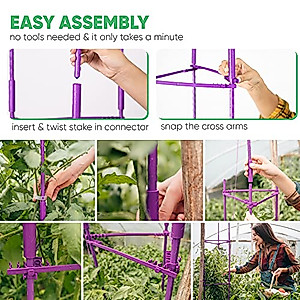 Large Tomato Cages for Garden - 48 Inches, 3-Pack Multifunctional Purple Tomato Plant Support for Vine, Vegetables, Fruits & Flowers with Adjustable Stake Arms - Non-Rusting with 20pcs Plant Clips