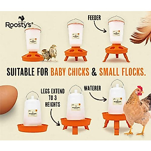 Roosty's Chick Feeder and Waterer Kit, Chicken Feeder and Waterer Set, 1.5kg Poultry Feeder and 1.5L Chick Waterer - Baby Chick Feeder, Baby Chick Waterer, Chicken Starter Kit, Baby Chicken Supplies