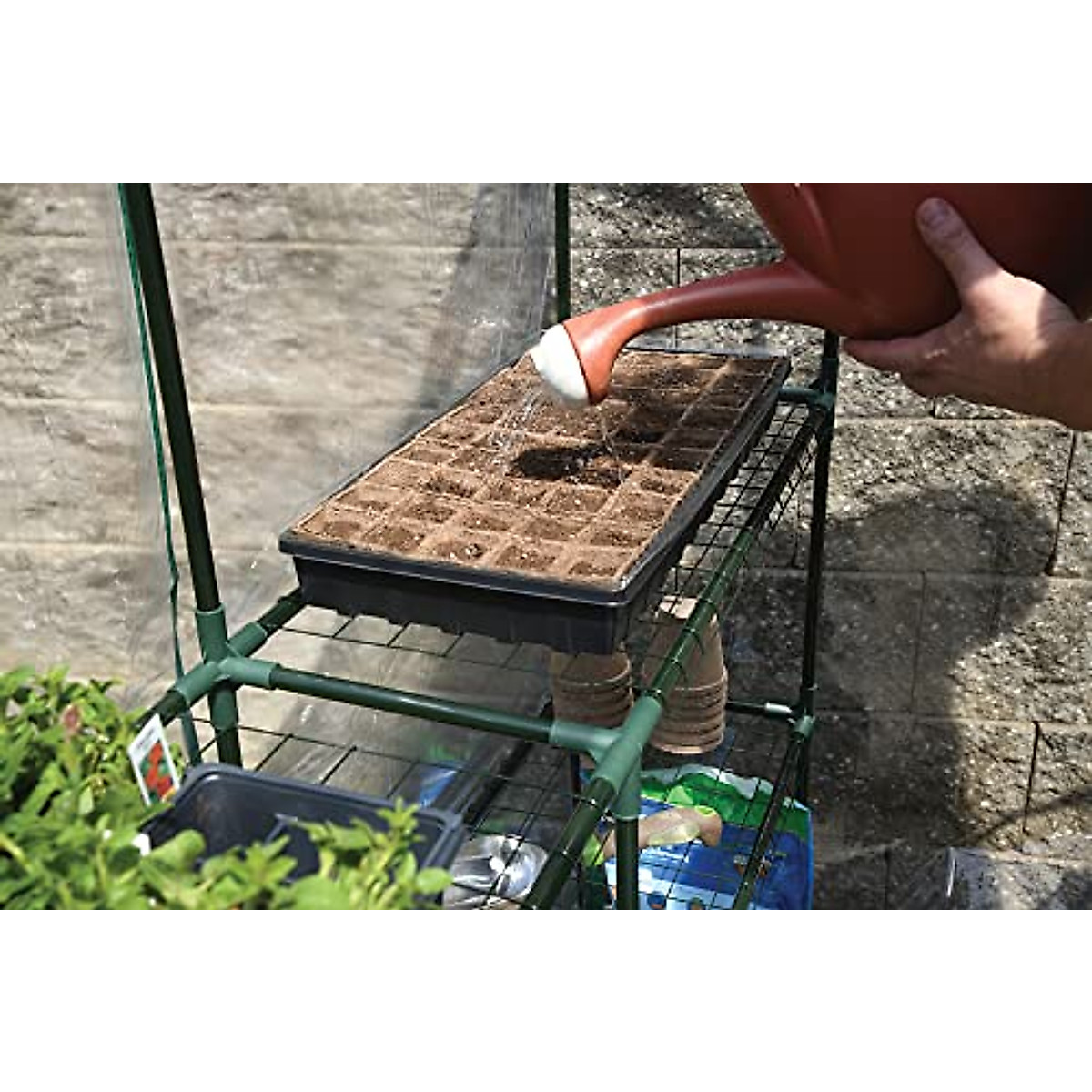 Miracle-Gro 4'8" x 4'8" x 6'5" All-Season Small Walk-in Greenhouse with 8 Wire Shelves for Outdoors, Easy-Access and Durable, Translucent
