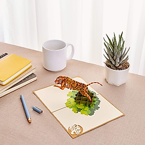 Rykamia Tiger Pop Up Card, Blank, with Envelope, 3D, Delightful Illustrations, Suitable for Any Occasion, Protective Poly Bag Included