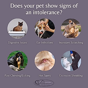 Glacier Peak Holistics - The Original Pet Wellness Life Stress Scan | Simple At Home Hair and Saliva Collection Kit to Test Over 300 Food and Environmental Stressors and Sensitivity in Your Dog or Cat