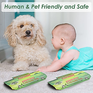 (20 Pack) Roach Traps Indoor,Roach Killer Indoor Infestation, Cockroach Killer Indoor Home, Cockroach Trap, Roach Motel, Pet-Friendly Roach Killer Indoor for Roaches, Ants, Spiders, Bugs, Beetles