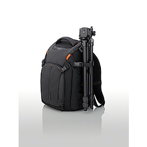 Sony LCSBP3 DSLR System Backpack with Laptop Storage, (Black),Large