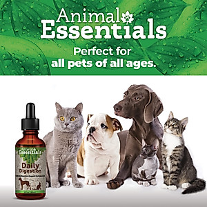 Animal Essentials Daily Digestion for Dogs & Cats - Digestive Support, Fresh Breath, Ginger Root, Fennel Seed Extract, Liquid Supplement - 1 Fl Oz