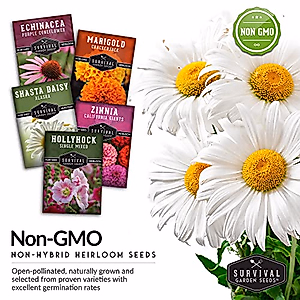 Survival Garden Seeds Beautiful Flower Collection - Hollyhock, Shasta Daisy, Purple Coneflower (Echinacea), Crackerjack Marigold, California Giant Zinnia - Non-GMO Heirloom Seeds