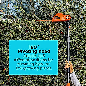 BLACK+DECKER 20V MAX Cordless Pole Hedge Trimmer, 18-Inch (LPHT120)