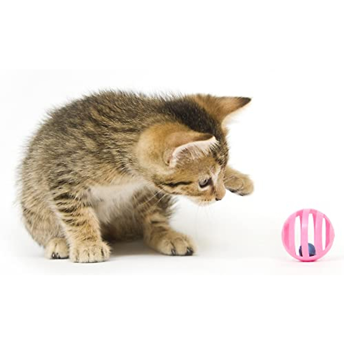 Fashion's Talk 12PCS Value Pack Plastic Ball Cat Toys Lattice Balls with Bell Jingle Kitten Toy,Gift Box 1.5" 6 Styles