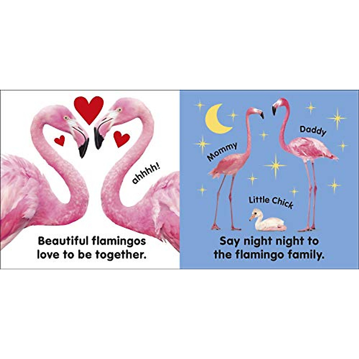 Baby Touch and Feel Flamingo