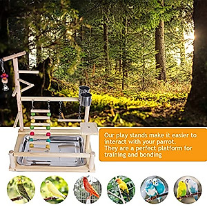 Fantasyday Bird Play Stand, Natural Wooden Bird Playground Birds Gym Bird Toy Accessories with Stainless Steel Feeding Stair Swing for Parrots, Finches # 2