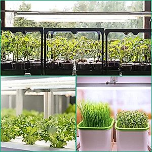 TVTUTPWY T5 Grow Lights 5000K Full Spectrum,1.4FT (2pcs x 10 Watts) Plant Growing Lamp,End-to-End Connectable Led Light Strips for Indoor Plants Succulents Flowers Growing