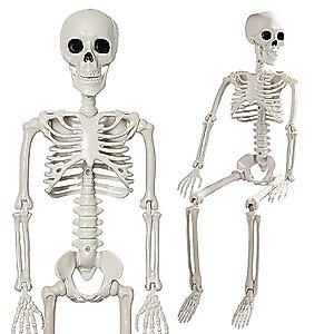 2 Pack Halloween Hanging Decorations, 26" Size Skeleton with Movable Joints, Indoor and Outdoor Party Decor for Haunted House Yard Patio Lawn Garden