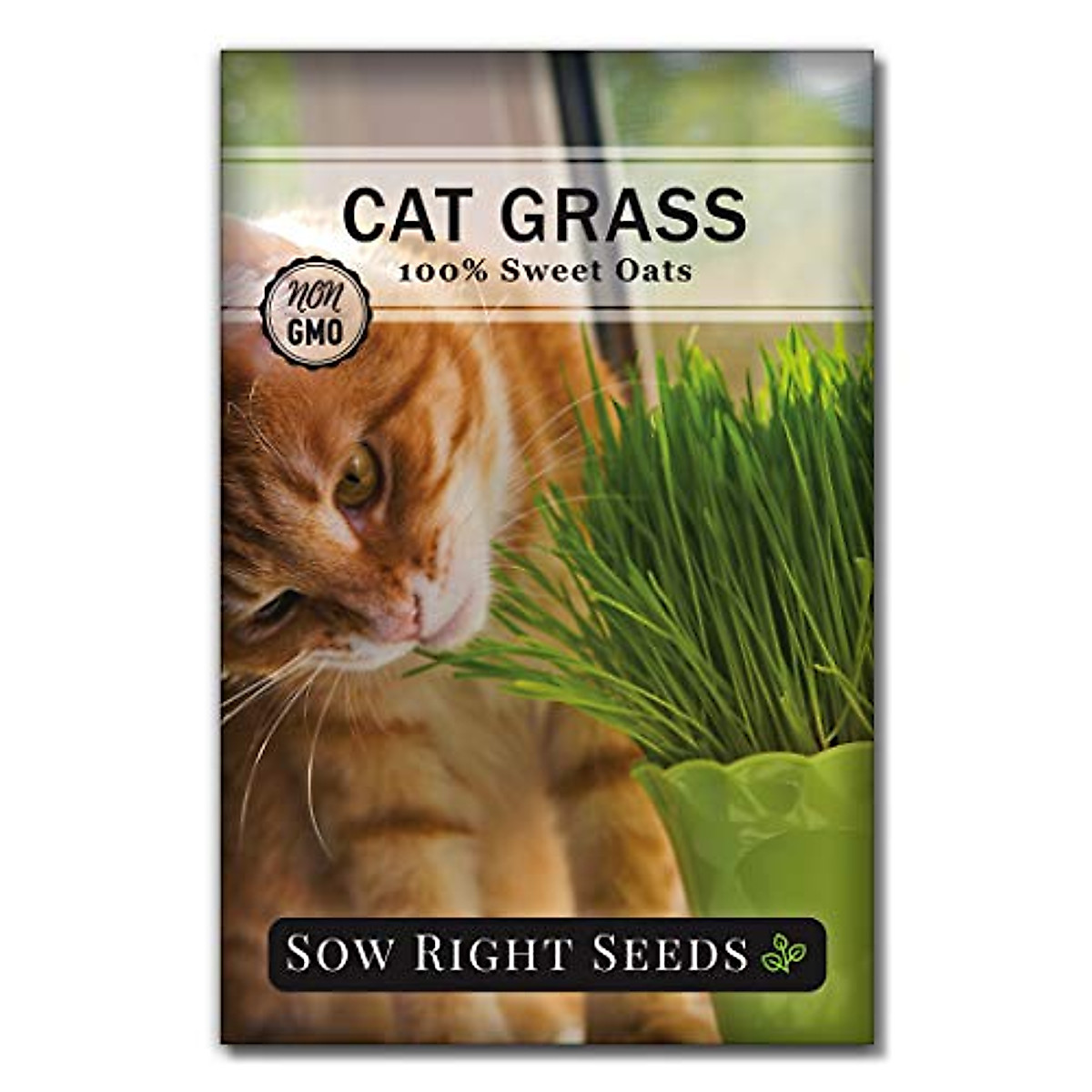 Sow Right Seeds - Cat Grass Seed for Planting - Easy to Grow Oat Grass That Your Cat Will Love - Non-GMO - Full Instructions - Great Gardening Gift (1 Packet)