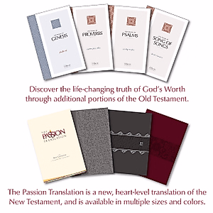 The Book of Isaiah: The Vision (The Passion Translation, Paperback) – A Heartfelt Bible Translation of the Book of Isaiah, Makes a Great Gift for Confirmation, Holidays, and More
