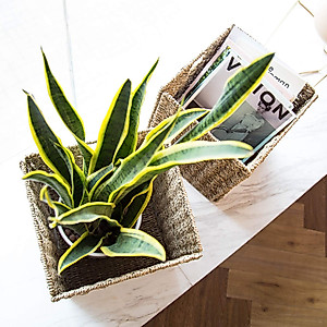 StorageWorks Rectangular Wicker Baskets for Shelves, Natural Seagrass Storage Baskets with Linings, 2-Pack