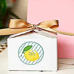 500pcs 1 Inch 8 Kinds of Design Lemon Stickers Roll for Envelope Seals, Party Favors Decoration, Gift Cards, Goodie Bags, Business and Boutique and Gift Bags Packaging