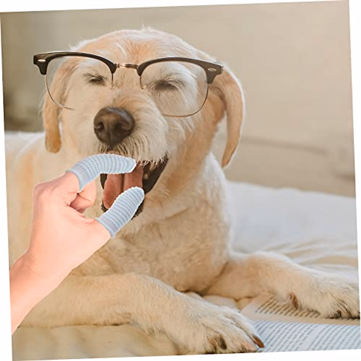 Angoily 40 Pcs Pet Toothbrush Gloves Chew Brush for Dogs Dog Toothbrush Finger Dog Chew Toy Cat Toothbrush Finger Small Dog Toothbrush Pet Supplies Comfortable Tooth Brushing Set Polyester