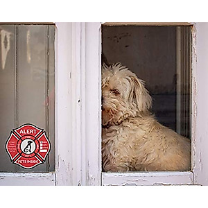 Pet Alert Sticker, Double-Sided, 6 Rescue Pet Decals, Pet Alert Stickers for House Home Window Pet Door-Emergency Pet Kit, UV Resistant-Waterproof