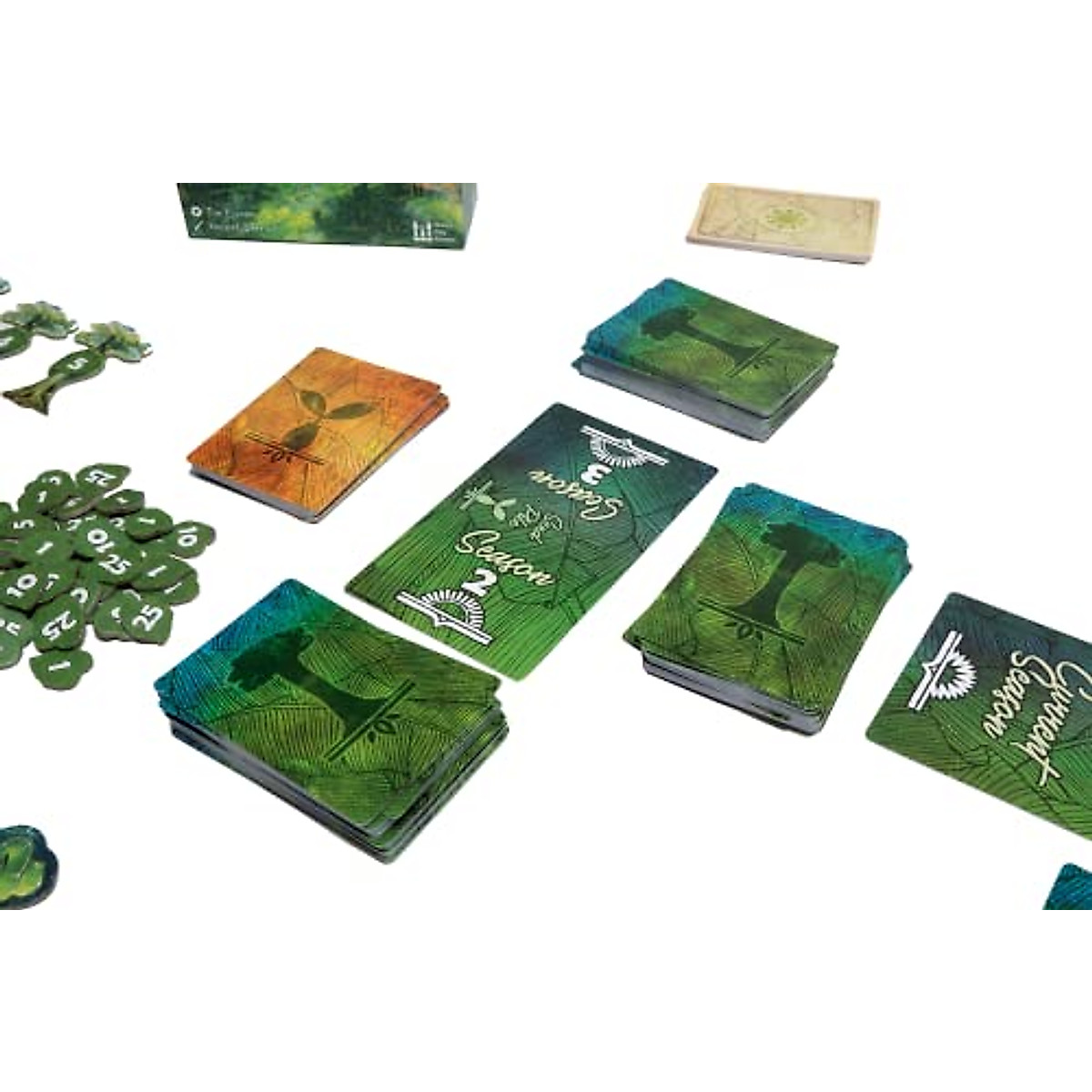 Weird City Games: Canopy, Card Game, Fast and Fun Gameplay, Features 25 Unique Species of Rainforest Animals and Plants, Solo or Multiplayer Option, For Ages 8 and up