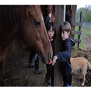 AOLAMIGOD Wall Mount Horse Tie Ring, Cross Tie Rings for Horses, 2 inch Tie Ring Plate Zinc Plated 2 Pack