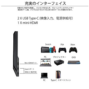 JAPANNEXT JN-MD-IPS1563FHDR 15.6-Inch FHD Mobile Monitor USB Type-C Mini HDMI