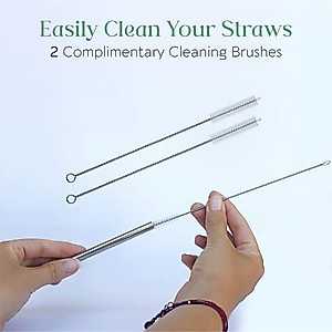 8-Pack Reusable Stainless Steel Straws with Colored & Black Silicone Tips, Straw Cleaner Brush and Polyester Bag, Reusable Straws for Tumblers & Mason Jars