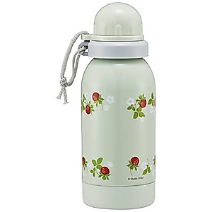 Skater SSSC6-A Single Layer Stainless Steel Bottle, 20.9 fl oz (580 ml), Room Temperature, Health, For Drinks, My Neighbor Totoro, Strawberry, Studio Ghibli