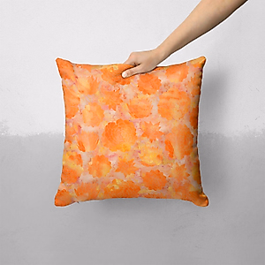 iiRov Orange Floral Succulents - Custom Decorative Home Decor Indoor or Outdoor Throw Pillow Cover Plus Cushion Set for Sofa, Bed or Couch (Pillow CASE Cover Plus Cushion)
