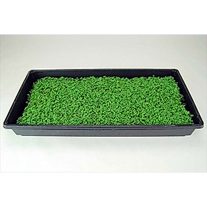 Southern Giant Mustard Seeds - 4 Oz. Resealable Bag - Use for Indoor Gardening, Growing Microgreens & More | Micro Greens Salad Garden Seeds