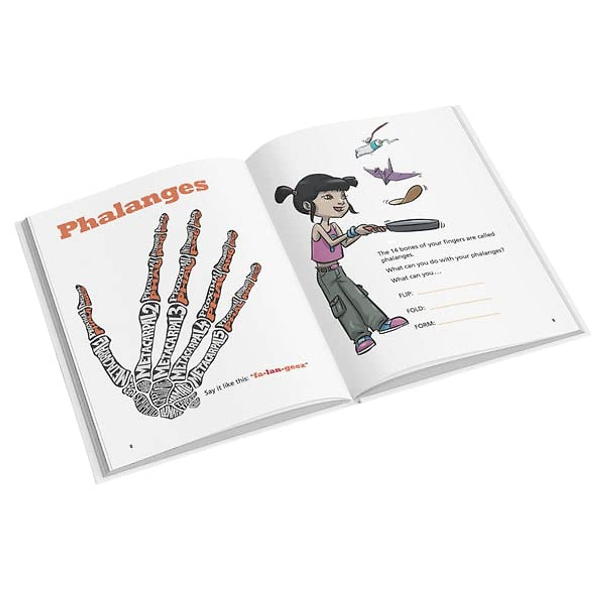 Know Yourself - 206 Bones of The Human Body Bonus Bundle, Interactive Activity Workbooks to Learn About The Human Body, Skeleton Coloring Kit, Crayons, Educational Playing Cards, for Ages 8-12