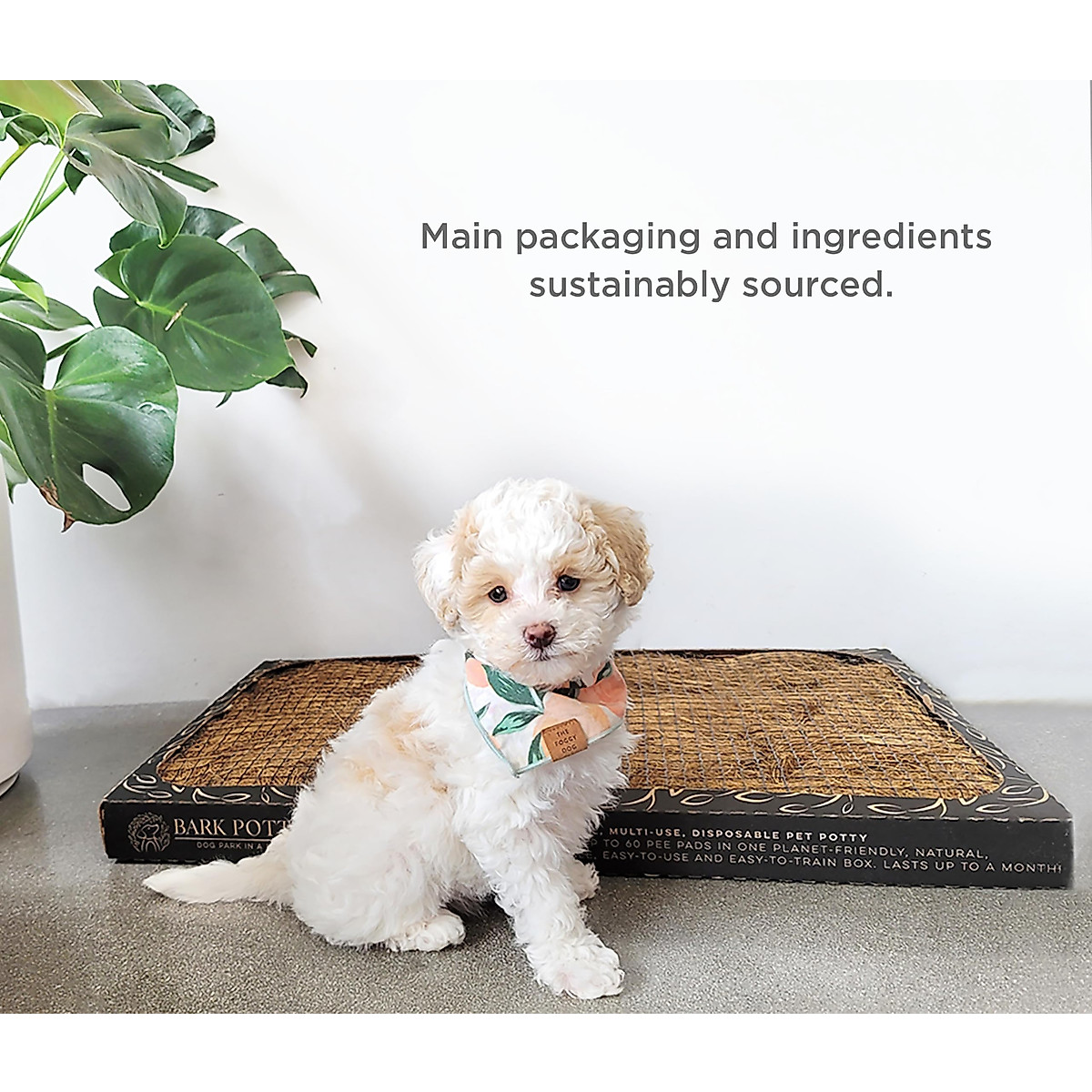 Bark Potty Disposable Training Pads, Multi Use Leak-Proof and Odor Control Puppy Pee Pads | 30 x 20 Standard Pee Pads for Dogs | Natural Bark Potty Pads for Dogs - Dog Housebreaking & Puppy Supplies