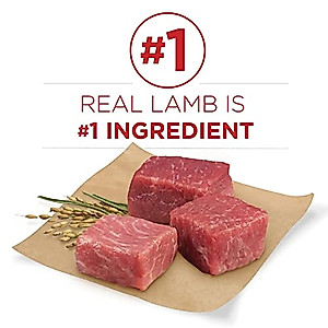 Purina ONE Smartblend Natural Lamb & Rice Formula Adult Dry Dog Food (44 Lbs.), 44 Lb