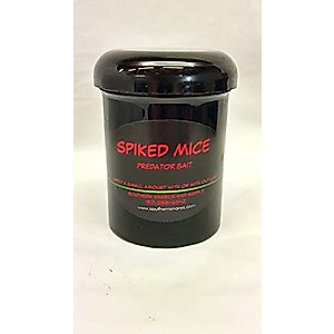 Spiked MICE Predator Trapping Bait 8 OZ Aged to Perfection Mouse Meat Simply Mice Trapping Lure