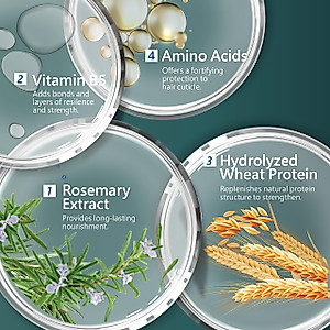 SH-RD Nutra-Therapy Shampoo for Dry Damaged Hair | Protein Shampoo Reduces Split Ends | Moisturizes Frizzy Hair | Suitable for Color-Treated, Bleached Hair - 16.9oz/500ml