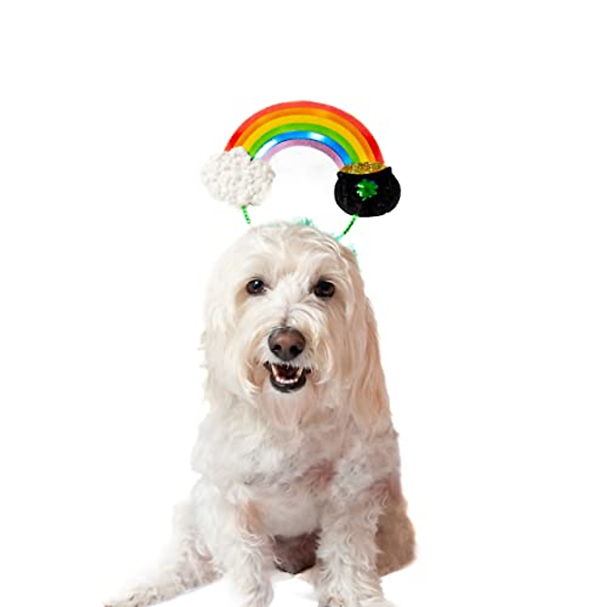 Midlee St. Patrick's Rainbow Pot of Gold Dog Headband